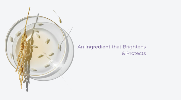 Rice Water Extract: Natural Brightening + Barrier Support Explained ...